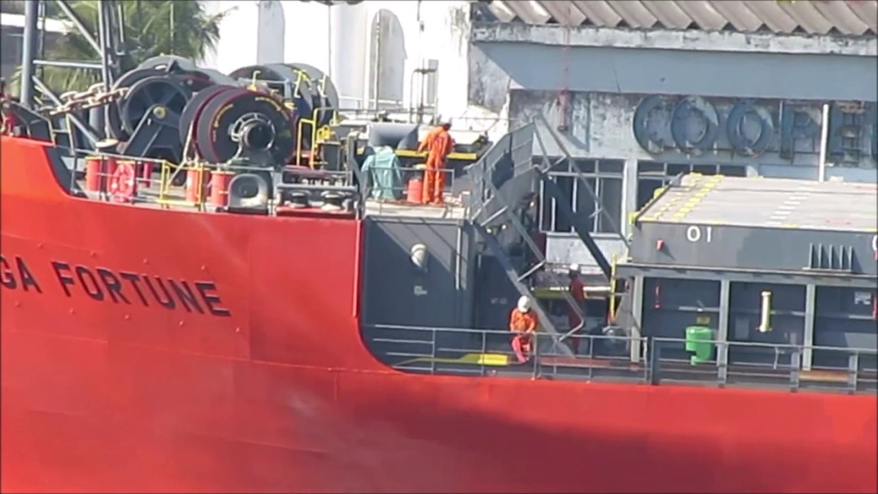 Navio Saga Fortune em Santos 14/07/2019 - YouTube