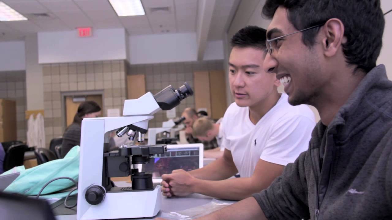 Discover Your Place at the University of Minnesota Medical School ...