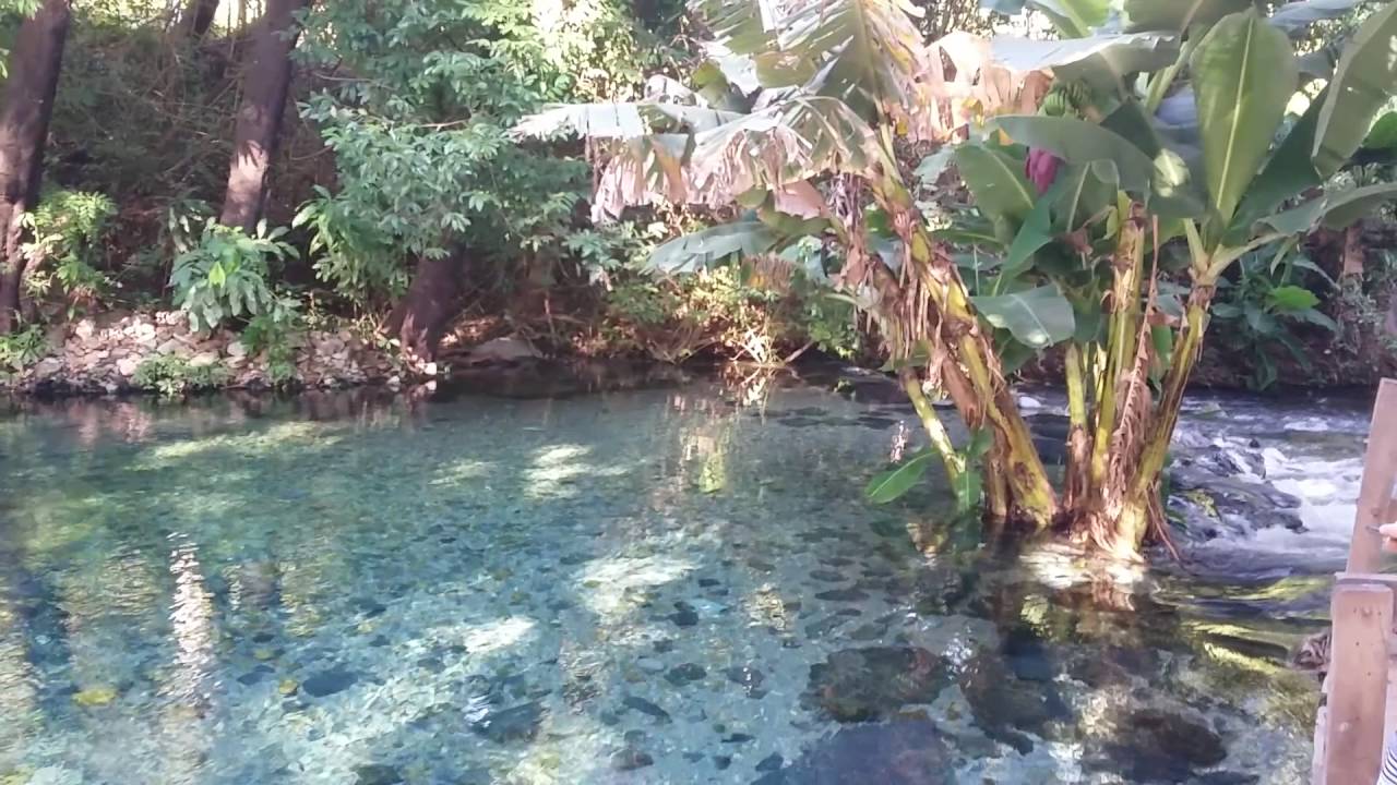 Rio Azuis taguatinga-to - YouTube