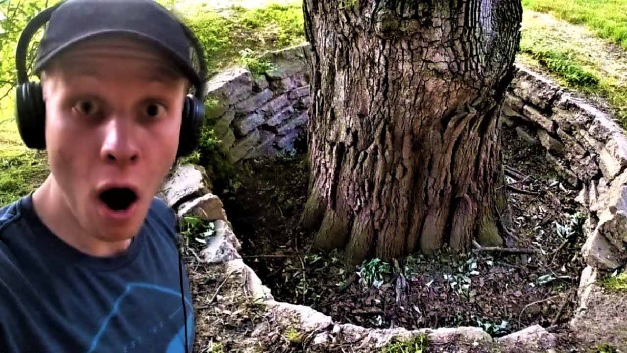 SEARCHING FOR COINS AND TREASURE UNDER THE OLD TREE | THE ULTIMATE COIN ...