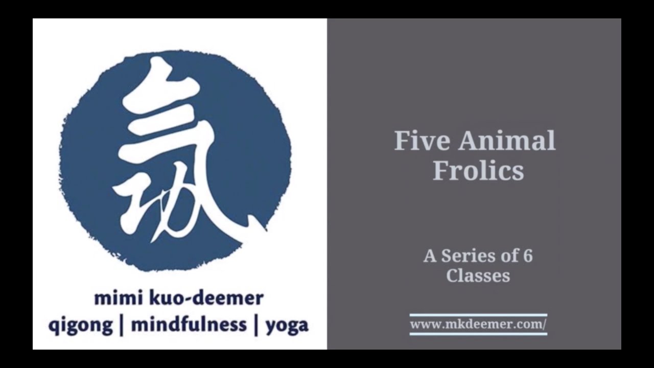 Five Animal Frolics: A Series of 6 Classes on Vimeo - YouTube
