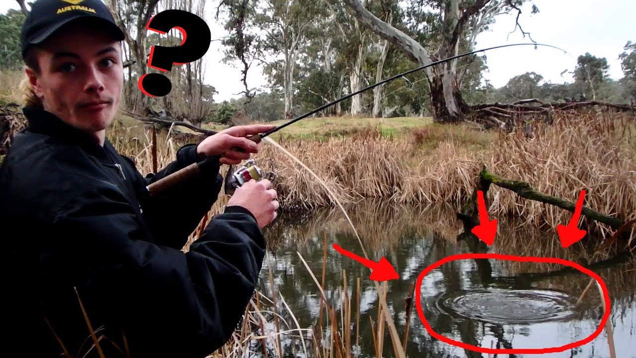 BIG fish in SMALL river pond! | Farm fishing for Redfin - YouTube