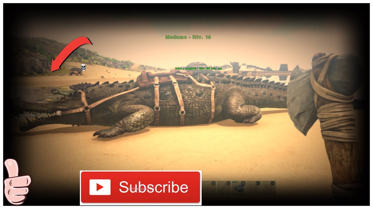 CAPTURE D'UN ALLIGATOR GÉANT! | ARK: Survival Evolved ! #Ep1 - YouTube