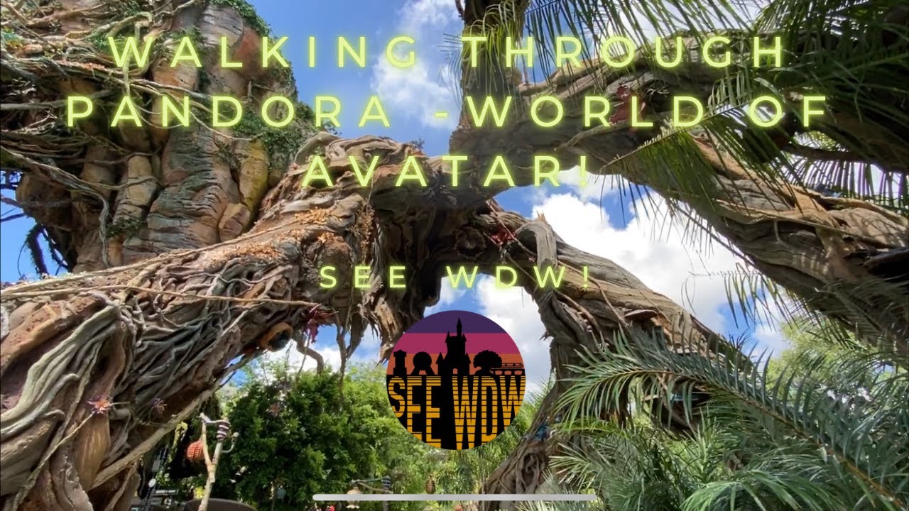 Walking through Pandora – The World of Avatar and the Flight of Passage ...