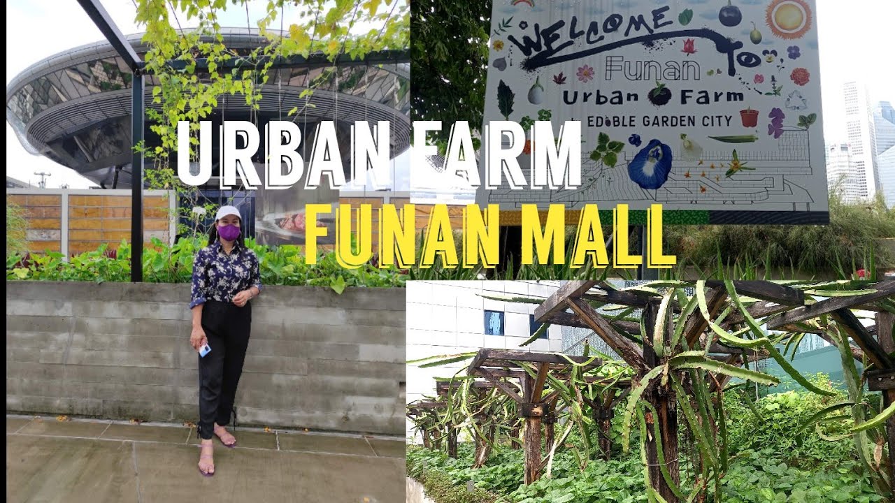 Urban Farm at Funan Mall || Singapore Rooftop Garden - YouTube