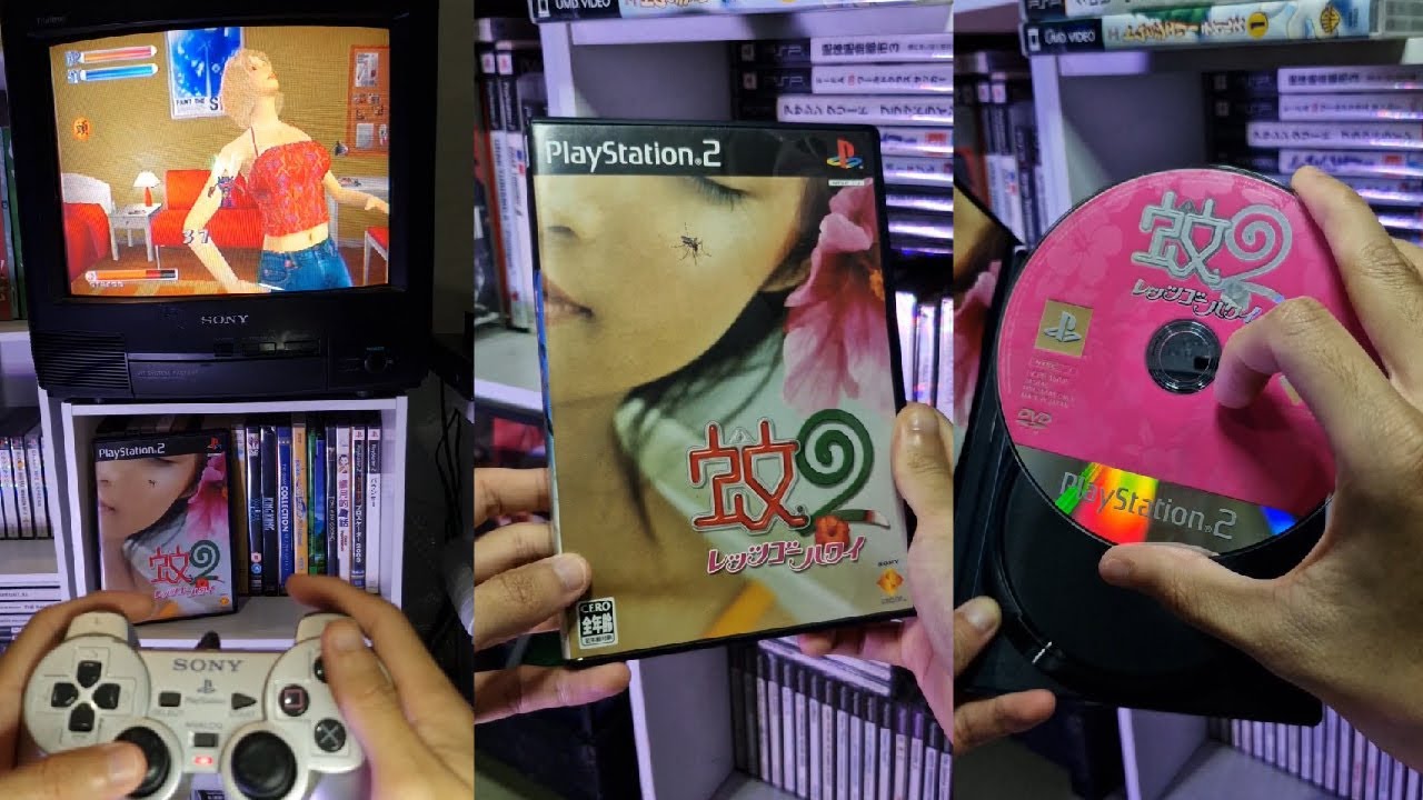Mister Mosquito 2 Let's Go Hawaii on PS2 !! - YouTube