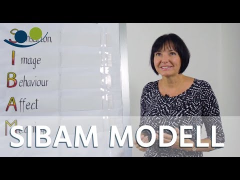 Das SIBAM Modell - YouTube