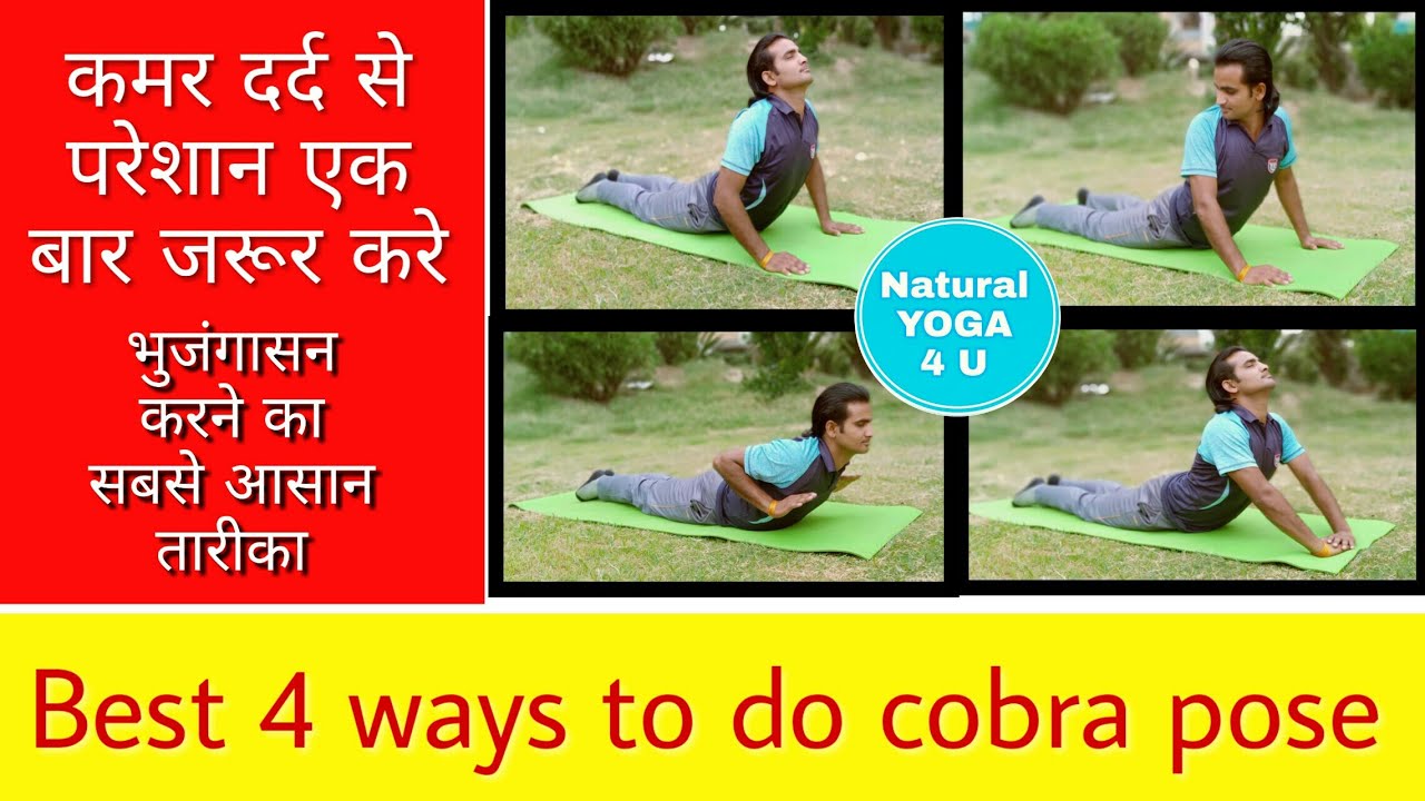 Bhujangasan | prevention in back pain | back pain relief | cobra pose ...