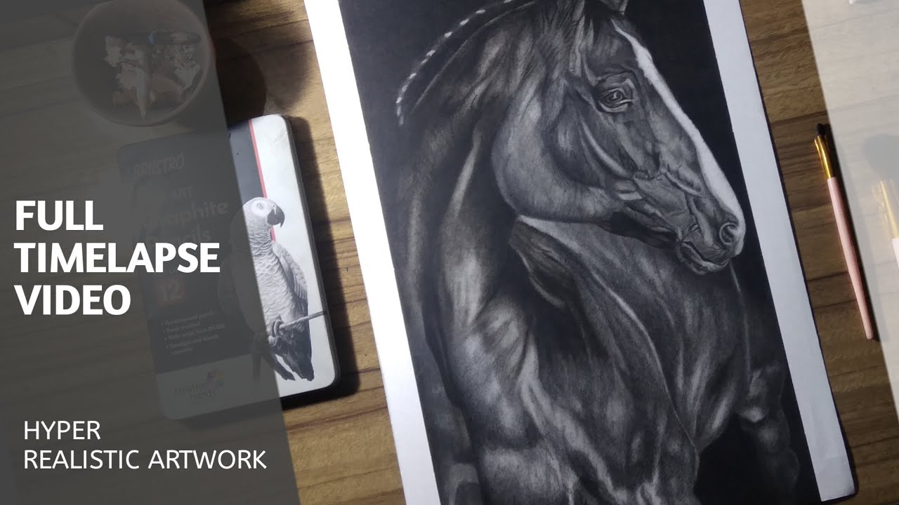 Hyper Realistic Sketch ( HORSE ) ️ |[ TIMELAPSE VIDEO ] | KRISHNA TAYAL ...