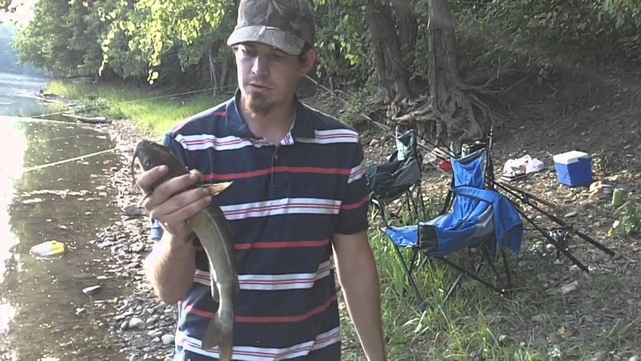 A FEW MORE NICE FISH FROM THE WABASH RIVER - YouTube