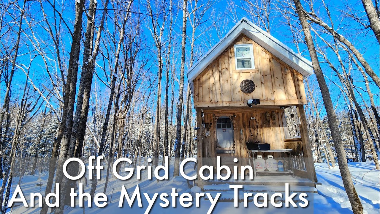 Off Grid Cabin- Mystery Tracks - YouTube
