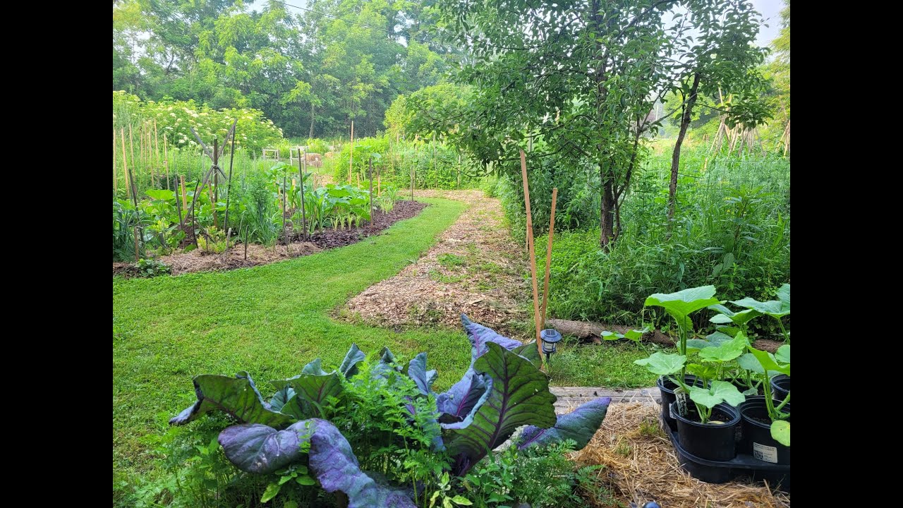 Permaculture & Nature-Guided Design Part 1: Working with Nature to ...
