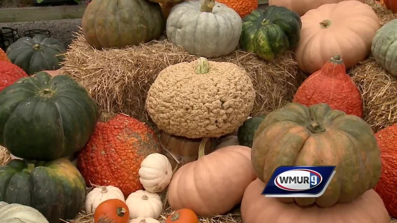 Grow it Green: Pumpkins, squashes - YouTube