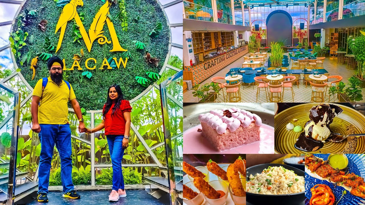 Macaw By Stories, Bangalore | Restopub in Bangalore | Fine dining ...