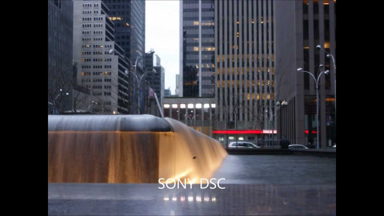 Sony A390/ Alpha 390 Photography (Beginner)