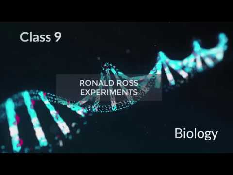 09 Bio B01L08 04 Ronald Ross Experiments - YouTube