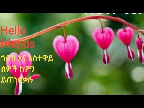helen Abebe ሄለን አበበ is live Hello friends ጎበዝ እና አስተዋይ ሰዎች ከምን ይጠነቀቃሉ ...