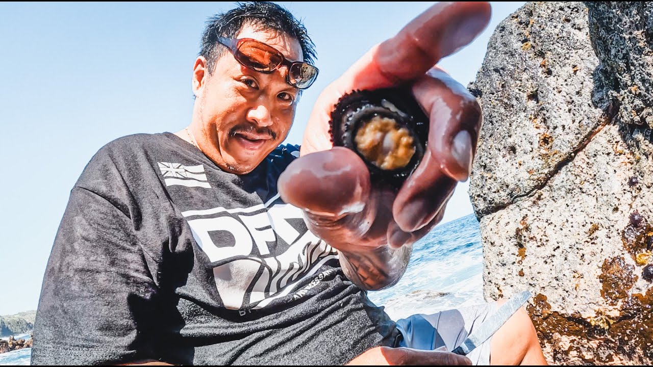Opihi picking & thrownet session - YouTube
