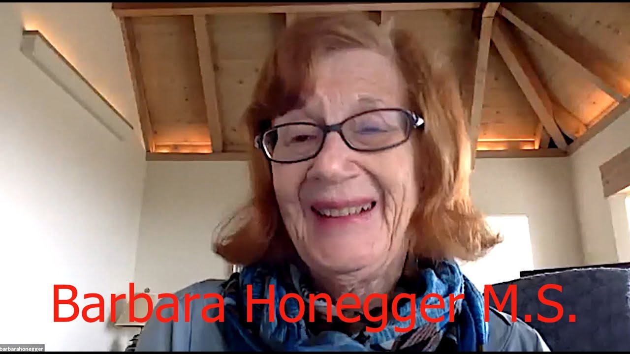 Barbara Honegger M.S. at Lawyers' Committee 9/11 Anniversary Event 2020 ...