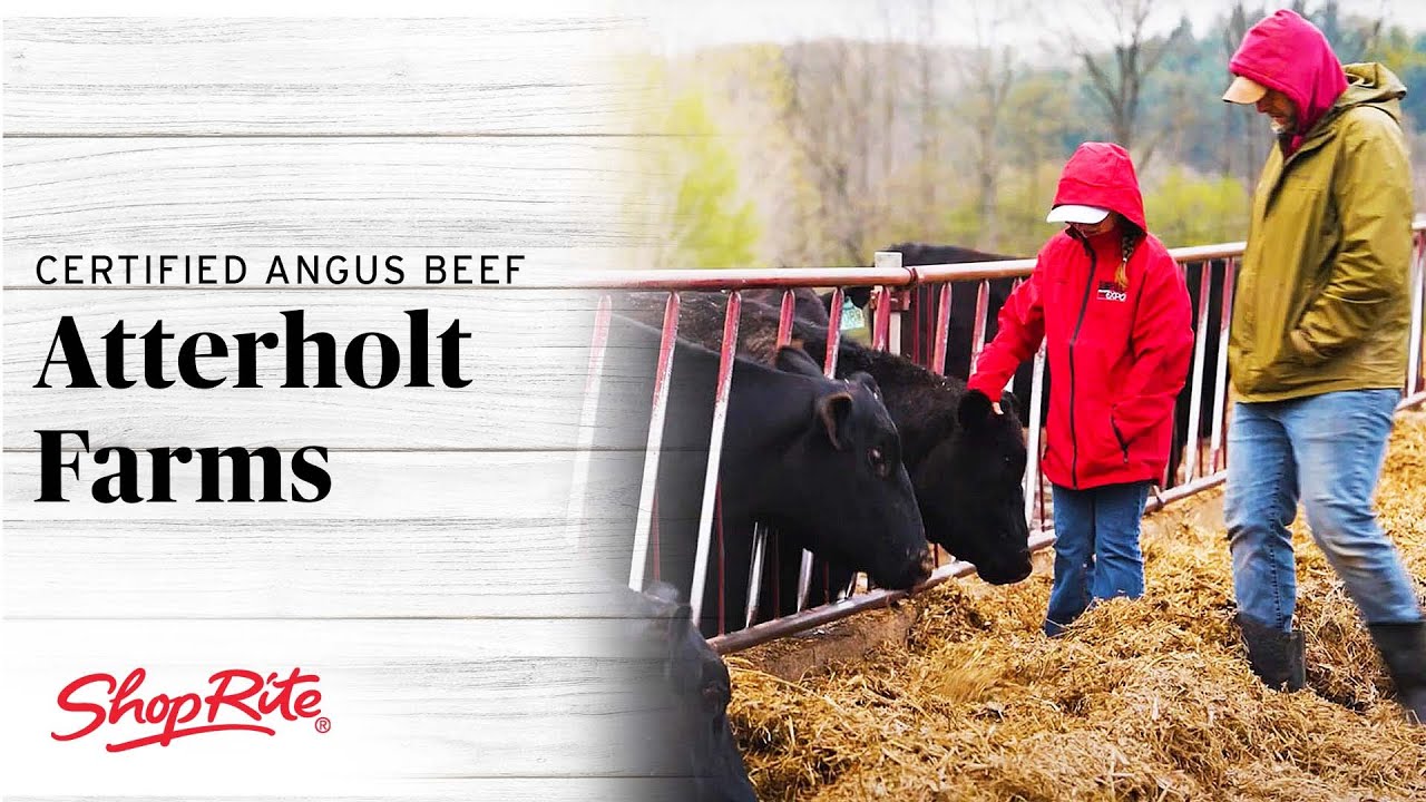 Inside Atterholt Farms: The Journey of Certified Angus Beef | ShopRite ...
