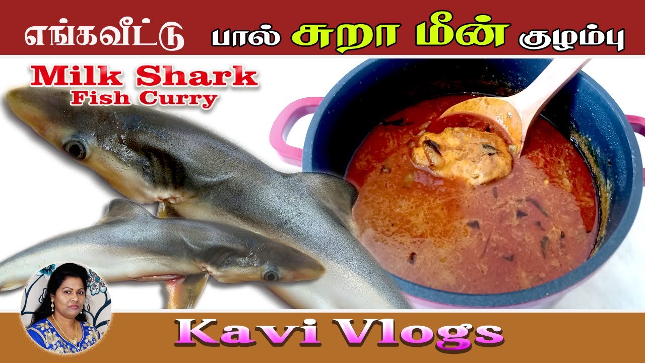 எங்கவீட்டு பால் சுறா மீன் குழம்பு | Milk Shark Fish Curry | Kavi Vlogs ...