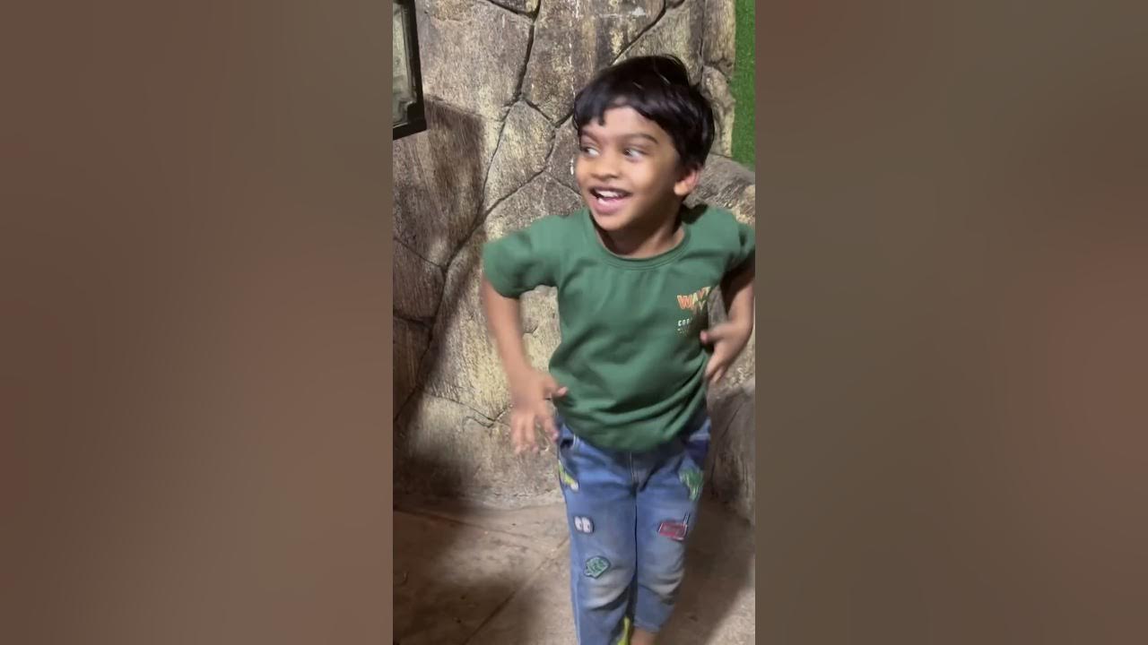 Evening vibe 😍pet station matool - YouTube