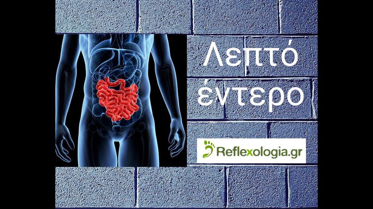 Ρεφλεξολογία | Λεπτό έντερο - Ειλεοκολική βαλβίδα - Σκωληκοειδής ...