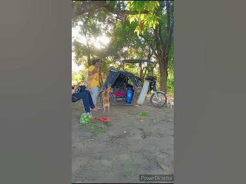 lolo's farm - YouTube