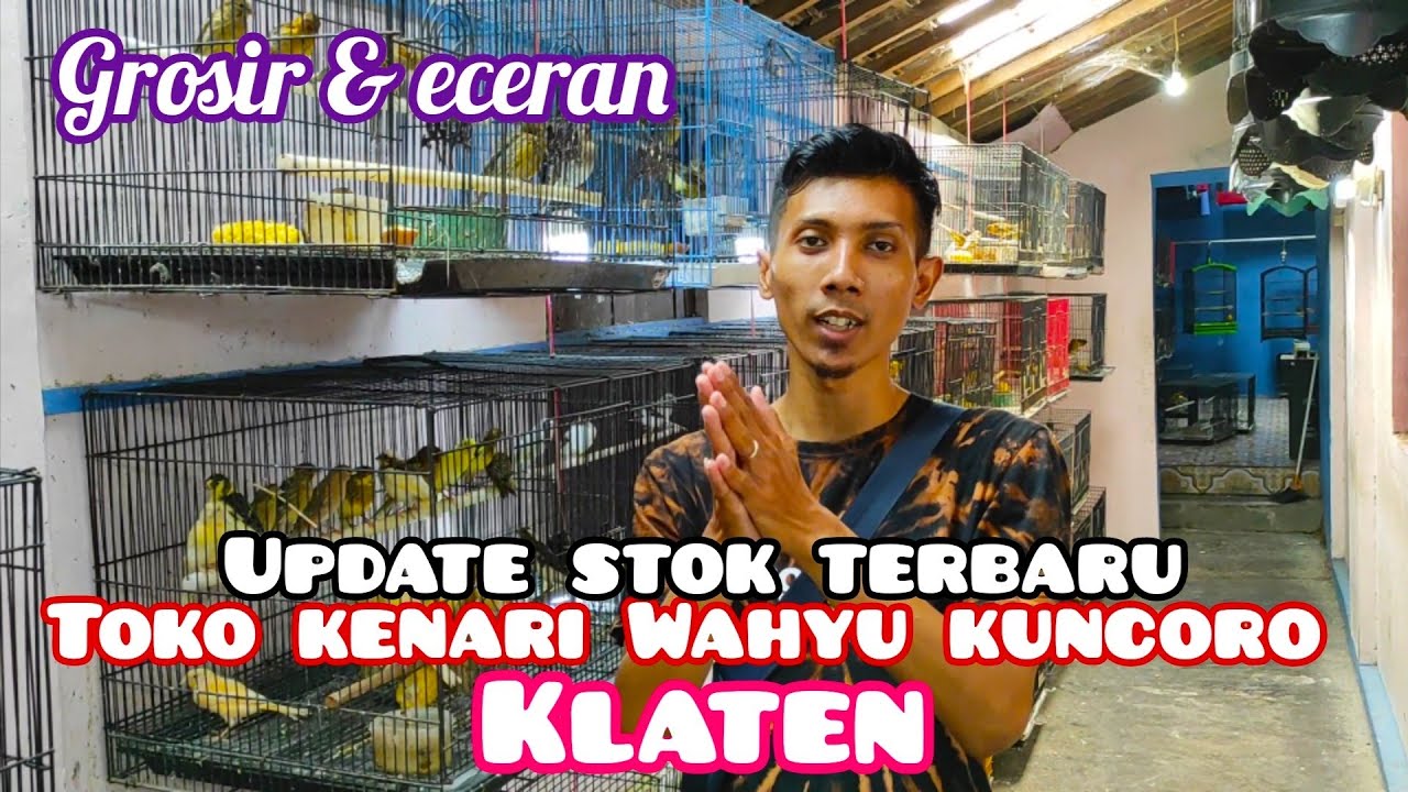 UPDATE STOK & HARGA KENARI TOKO KENARI WAHYU KUNCORO KLATEN - CEK HARGA ...