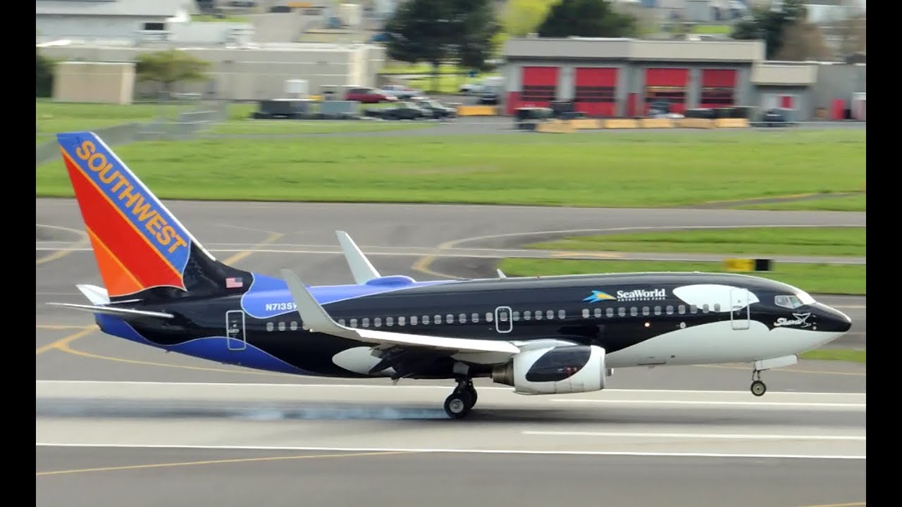 Southwest Airlines Boeing 737-700 Shamu [N713SW] landing in PDX - YouTube