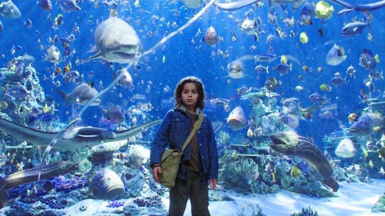 This Boy Can Talk to Fish Movie Explained in Hindi/Urdu | Action ...