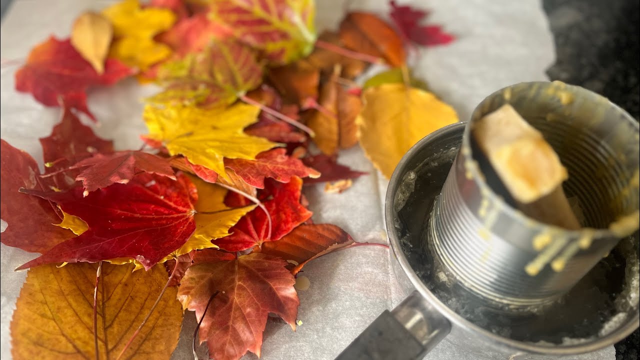 How To Dip Fall Leaves In Beeswax - YouTube