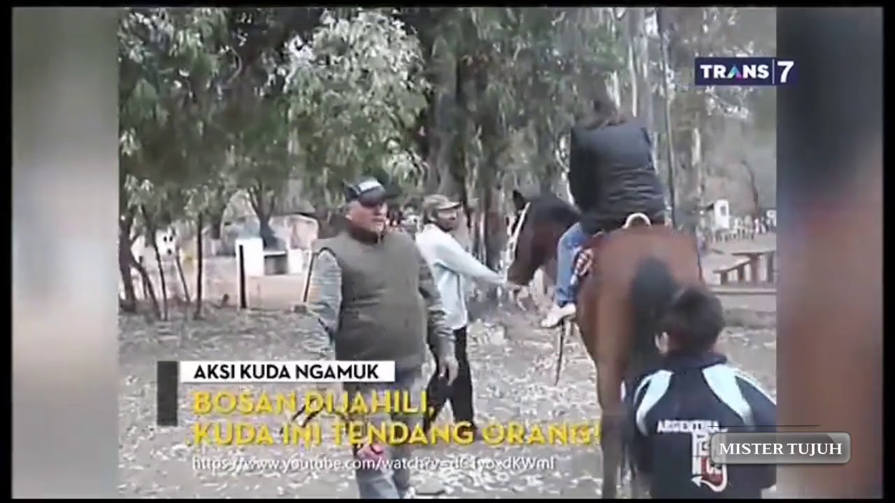 Aksi Kuda Ngamuk --- On The Spot ( 02/03/19 ) - YouTube