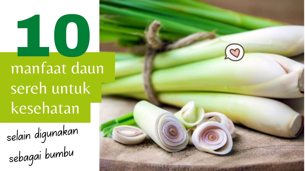 manfaat daun serai selain untuk bumbu dapur bagi kesehatan - YouTube