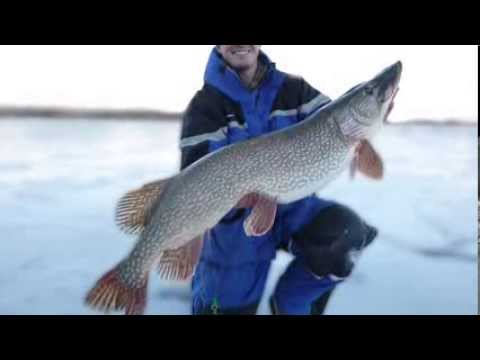 Jake Rodiek - State Record Pike Release - YouTube