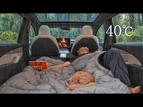 40℃ Heavy Rain Camping in a Tesla Model Y Juniper with My Dog . Sound of Rain ASMR