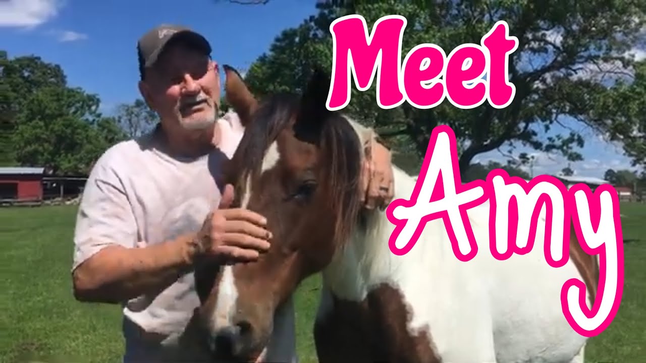 Meet Amy! - YouTube