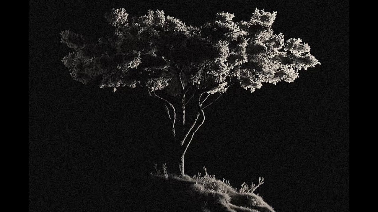 The Sign - Anyma & Camelphat (Beatz Rmx) - YouTube