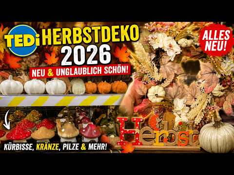 TEDI HERBSTDEKO 2026 🍁 DIE SCHÖNSTEN HERBST-DEKORATIONEN & UNSCHLAGBARE SCHNÄPPCHEN! 😍🍄