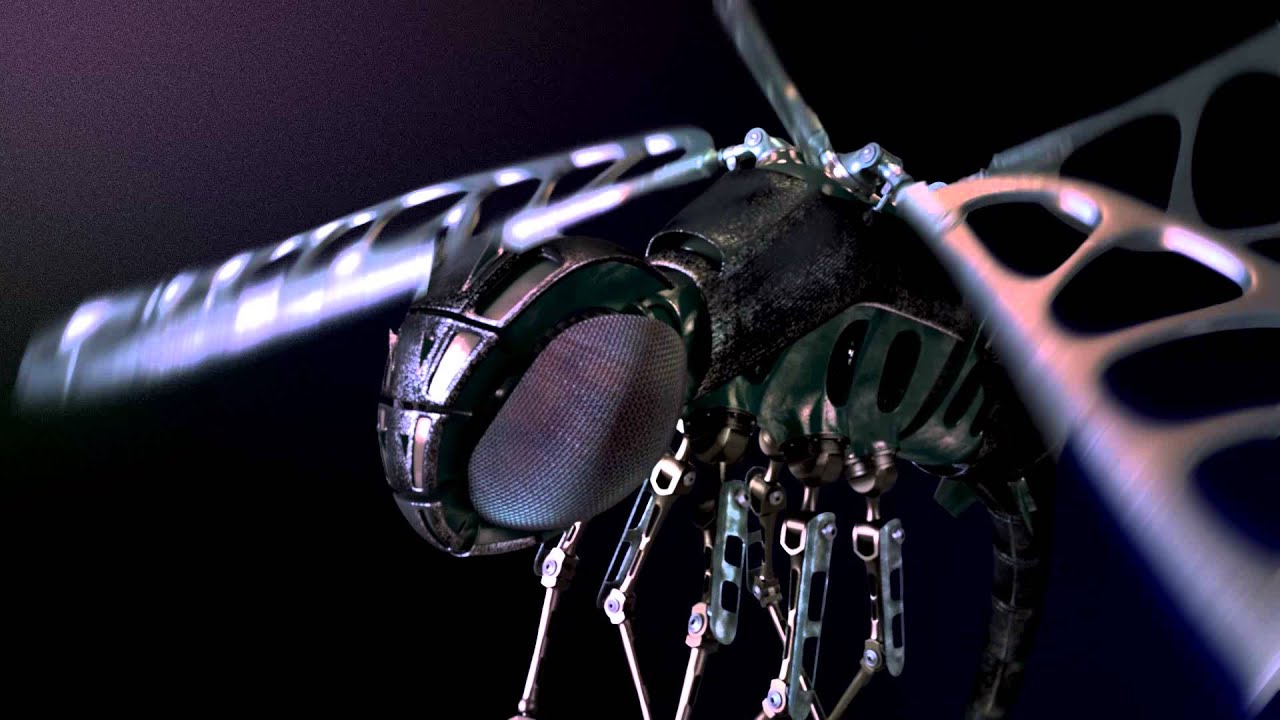 Dragonfly Animation - YouTube