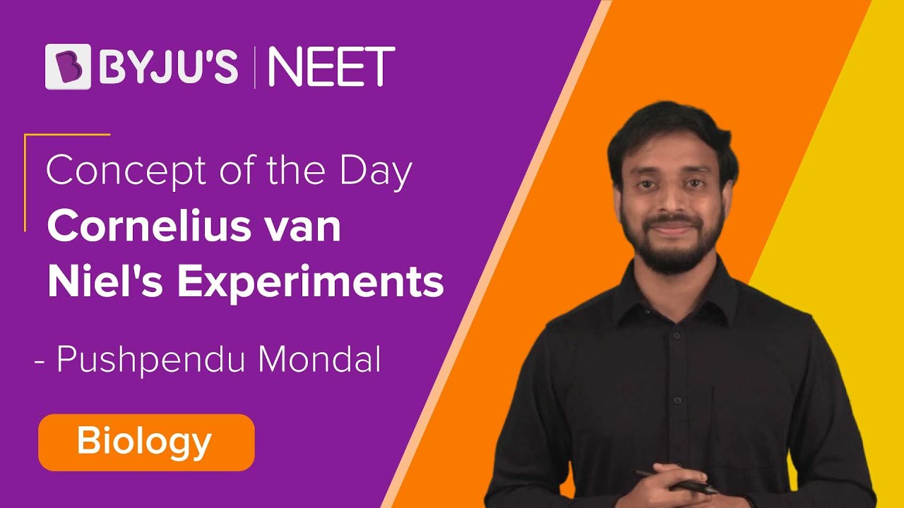 Cornelius van Niel's Experiments: Photosynthesis in Higher Plants Class ...