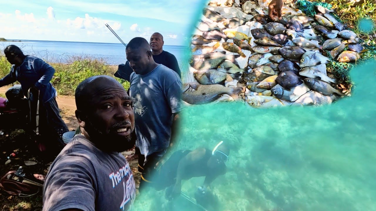 The water is so calm and clean fish for days best weather ever - YouTube