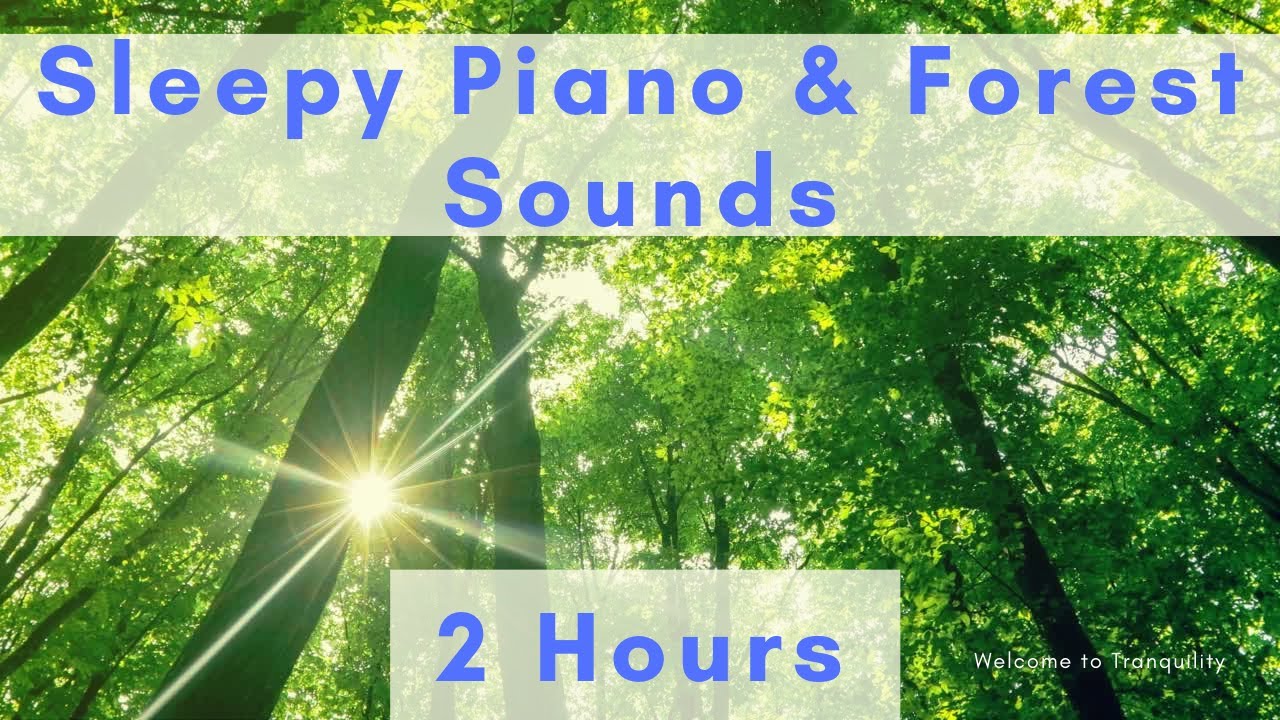 Sleepy Piano and Nature Sounds in the Forest | 2 hours of relaxing ...