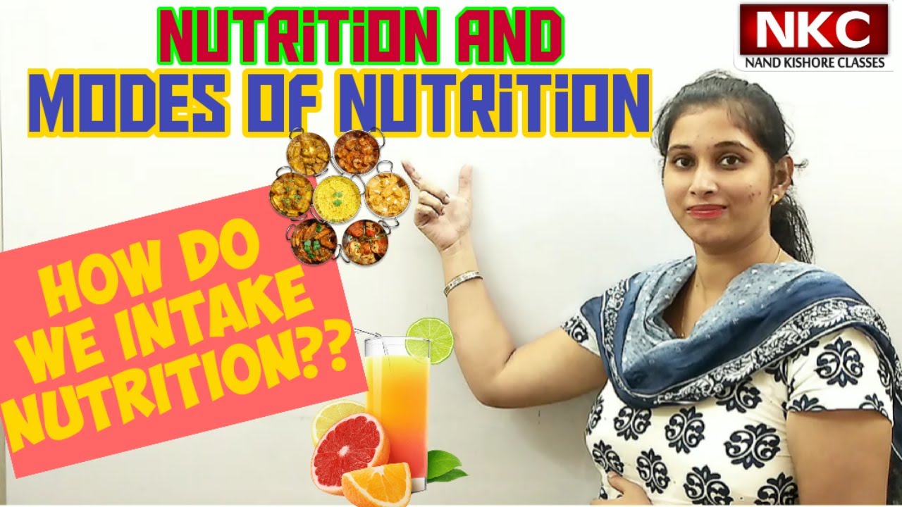 Nutrition and Modes Of Nutrition| Explanation with Examples ...