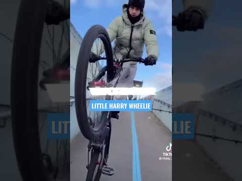 LITTLE HARRY - YouTube