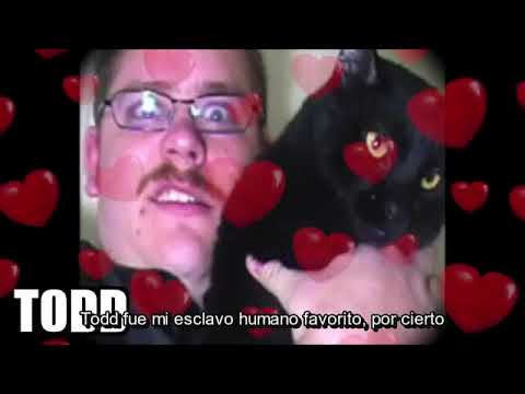 Talking Kitty Cat 7 - Silvester va al infierno - Subtitulado (Original ...