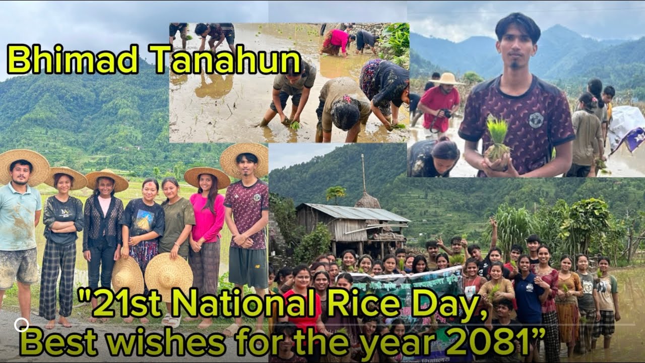 Bhimad | Tanahun| “२१ औं राष्ट्रिय धान दिवस, २०८१" को सम्मपुर्णमा ...