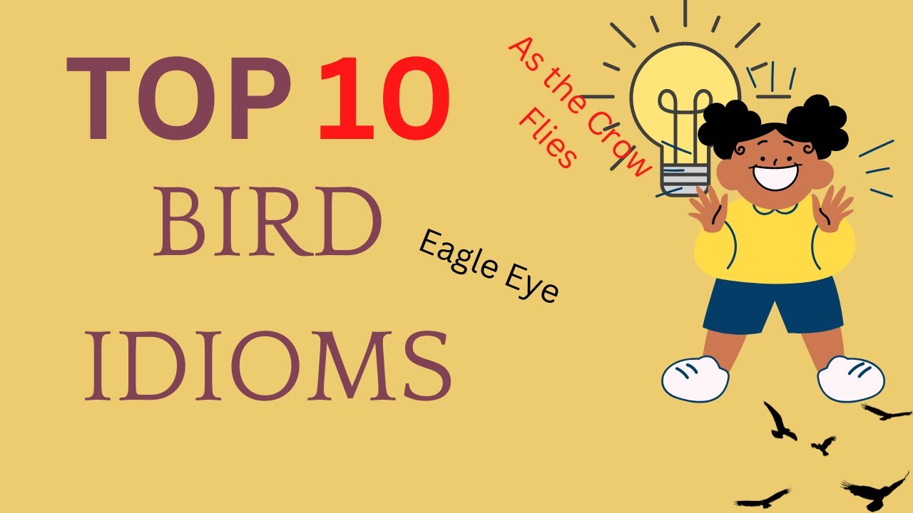 Top 10 Bird idioms that English learners must learn! #english - YouTube