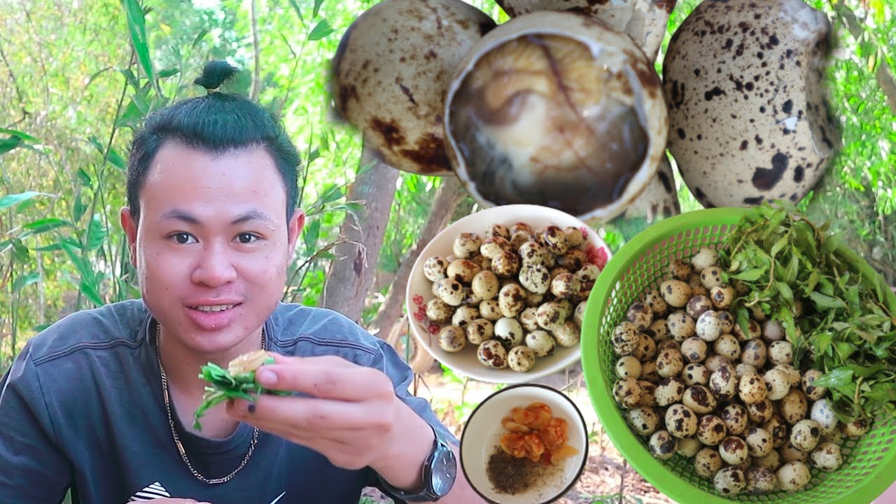 Eating quail eggs is very delicious - RSP Cooking - YouTube