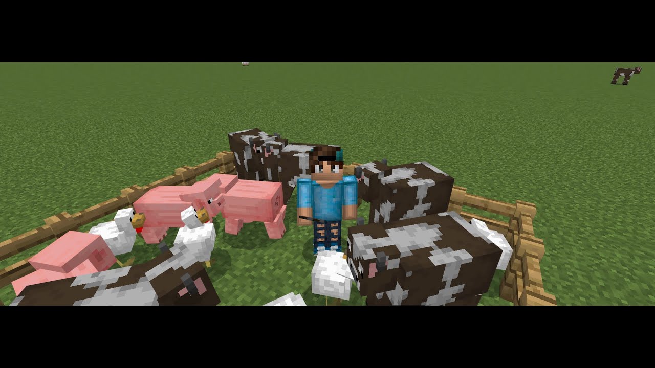 Tous les animaux dans minecraft - YouTube